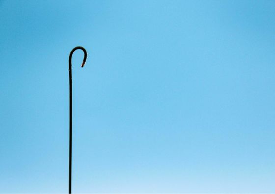 PTFE Coated Guide Wire manufacturer from china